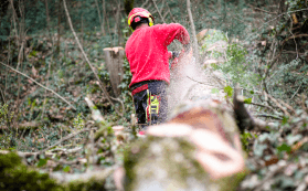 Fibre Excellence SEBSO | Fibre excellence