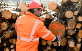 Fibre Excellence SEBSO | Fibre excellence