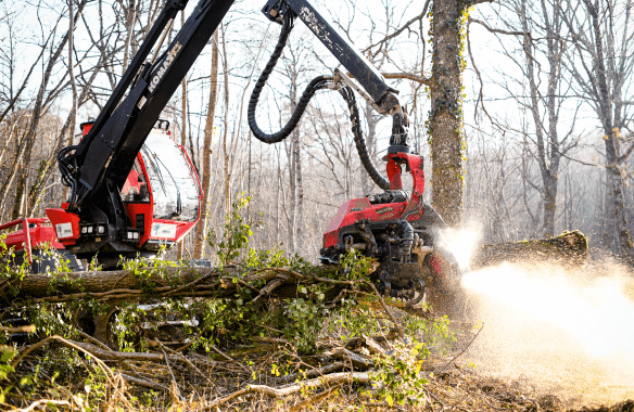 Fibre Excellence SEBSO | Fibre excellence