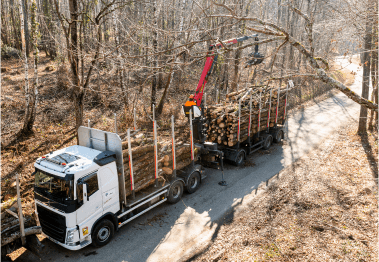 Fibre Excellence SEBSO | Fibre excellence